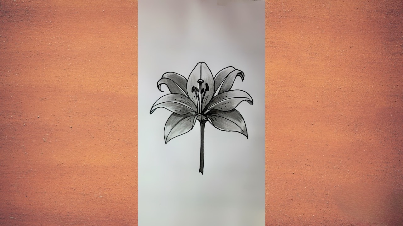 How to draw lily flower with pencil. How to draw flower with pencil. Lily flower drawing. #flowers 