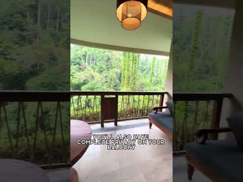 Private Pool Hotel In Ubud,Bali For Only $50!🇮🇩🏝️