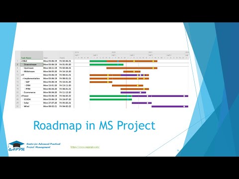 Webinar on Roadmap in MS Project and Project for the Web