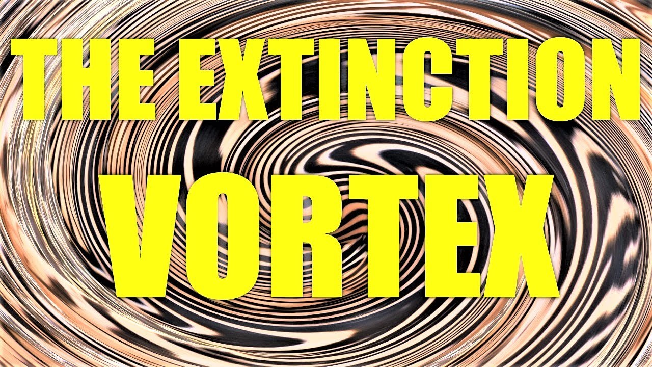 The Math Behind Why Species Go Extinct: What is an Extinction Vortex?