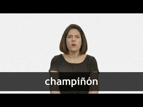 English Translation of “CHAMPIÑÓN” | Collins Spanish-English Dictionary