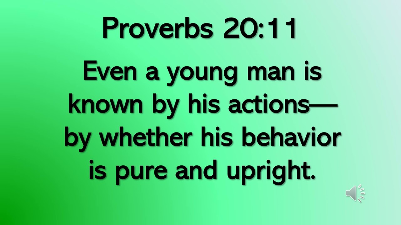 PROVERBS 20 11 CSB PPT