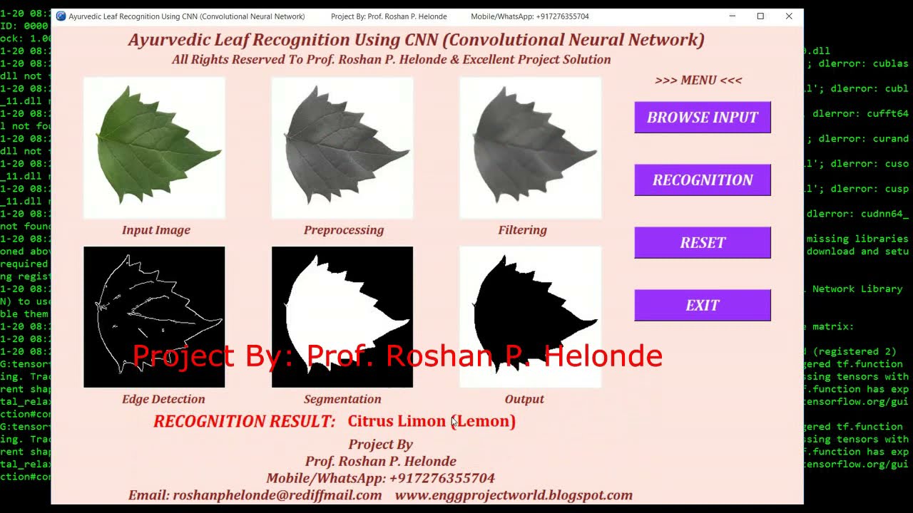 Ayurvedic Leaf Recognition Using CNN | Python OpenCV Project Source Code | Ayurvedic Plant Detector