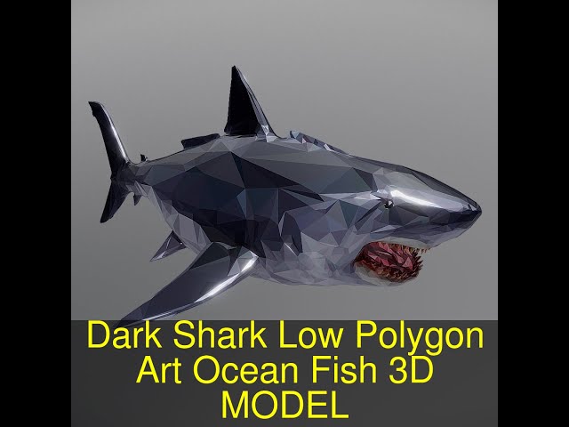 Shark Low Poly Design