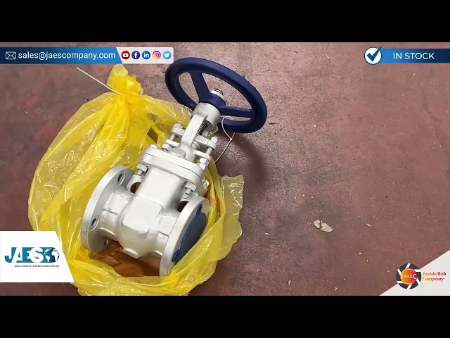 KSB VALVES - KSB Make WCB Globe Valve Flanged end Class 300 SICCA ...