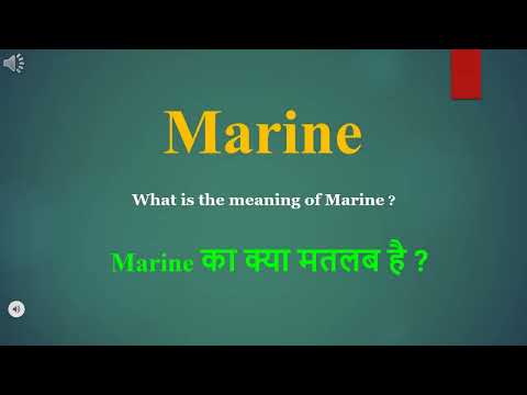 Marine meaning in Hindi | Marine ka kya matlab hota hai | daily use English words
