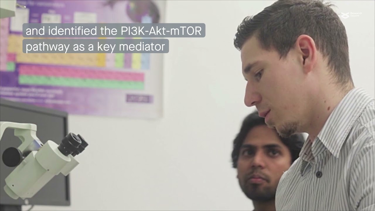 Glioblastoma derived extracellular vesicles affect neural progenitor cells via the PI3K Akt pathway