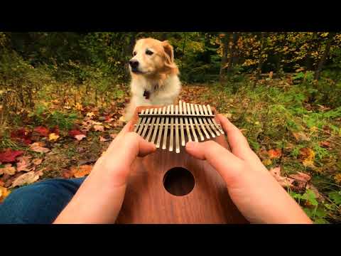 Can't Help Falling In Love on a Kalimba
