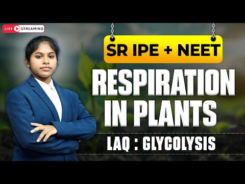 Glycolysis Explained | Respiration in Plants | IPE + NEET | Narayani Ma’am