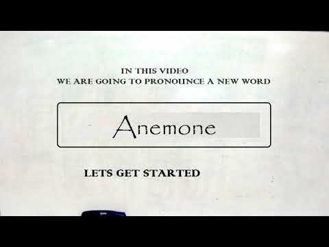 How To Pronounce Anemone In American English ? How To Pronounce Anemone In British English New Video