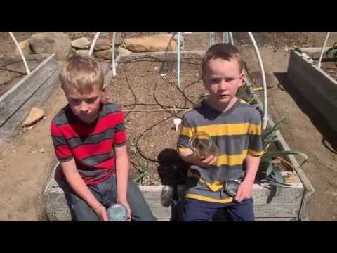 Soil 101-for Kids!