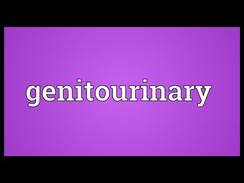 Genitourinary Meaning