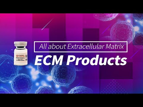 All about Extracellular Matrix Products