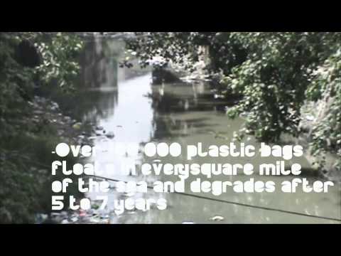 3 Common Environmental Issue in the Philippines