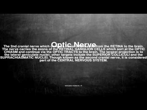 Medical vocabulary: What does Optic Nerve mean