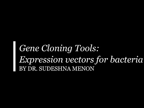 Gene Cloning Tools Expression vectors in Bacteria