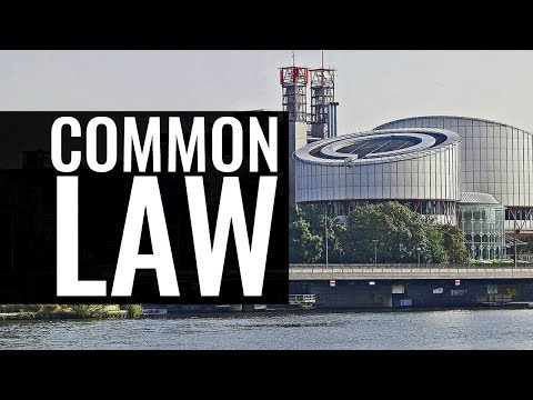 In the Context of the Common Law: The European Court of Human Rights in Strasbourg - Bostjan M. Zupa