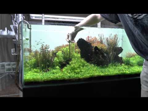 flowgrow injector