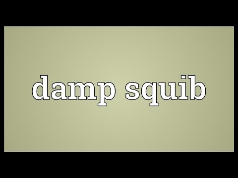 Damp squib Meaning