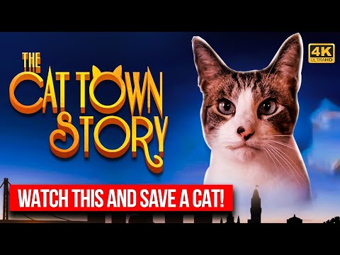 The Cat Town Story | Full Official Documentary | America's First Cat Cafe and Rescue