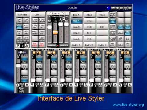 Live Styler Mega Samples Guitare Distortion