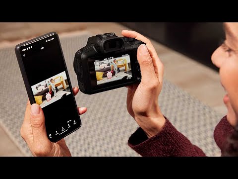 Canon EOS R100/ best camera for beginners in 2024