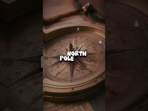 How does a compass work? ðŸ§