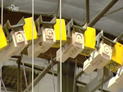 How It s Made Bowling Pins