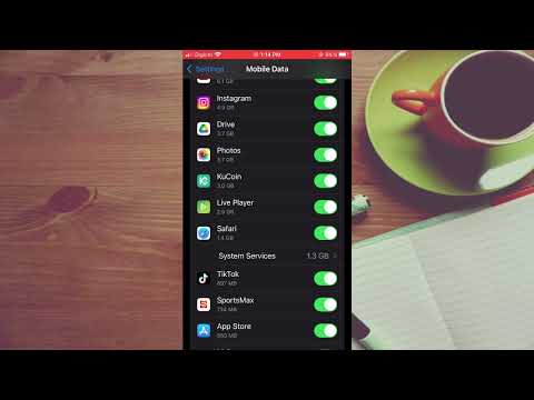 how to check data usage on iphone