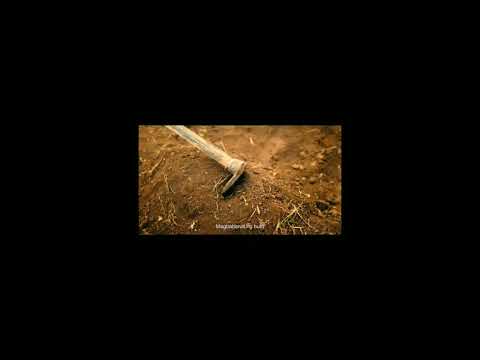 Katangian ng Wika (Ang wika ay buhay)