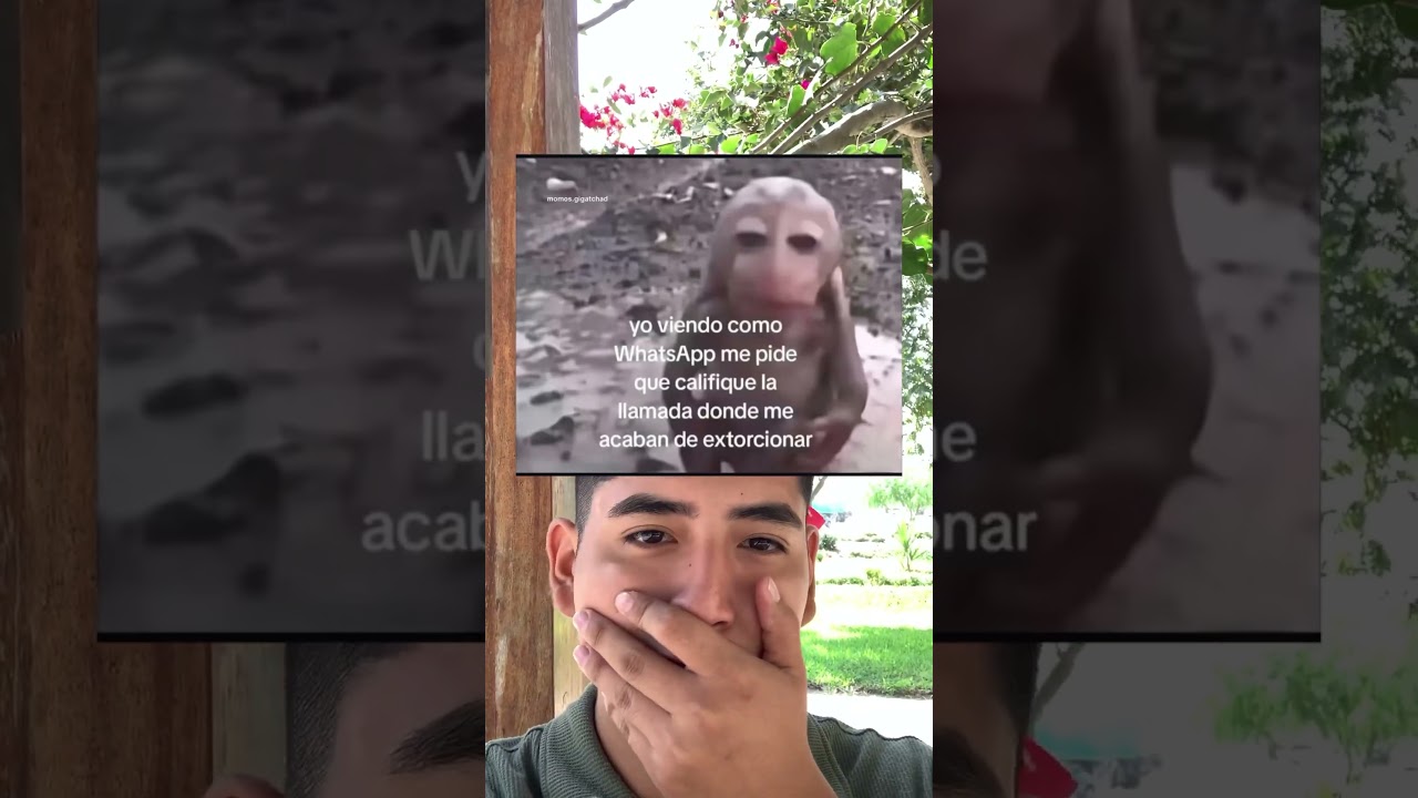 Yo viendo cómo WhatsApp me pide…créditos:momos.gigatchad #memes #fyp