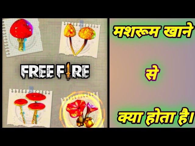 Top 7 survival tips for beginners in Garena Free Fire