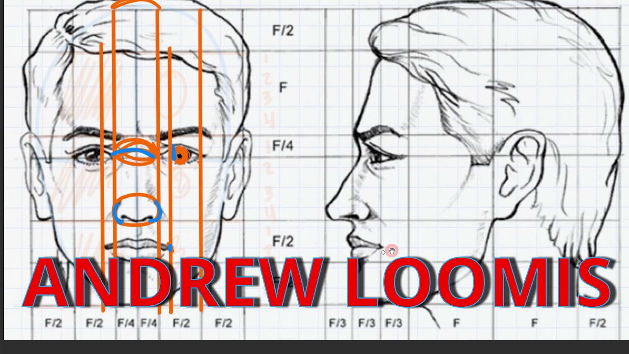 ¿Cómo dibujar un rostro con el método Loomis? | Aprende el Método Loomis Paso a Paso