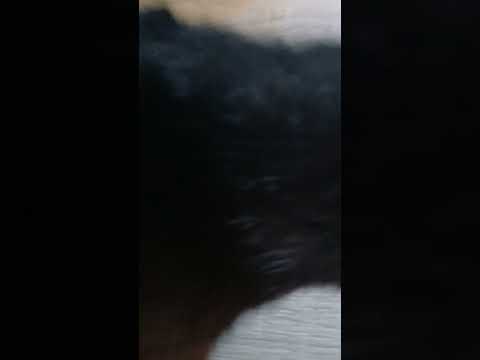 Happy Thursday!❤️ #catshorts #edit #catvibes #video #lethimcook #viral #funny #fail #cat #feelgood