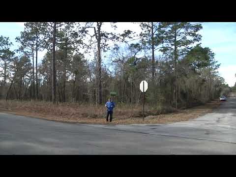 Lot 14 NW Buena Vista Rd. Dunnellon, FL. 34431 - Item - 699279