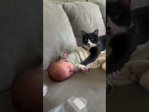 Cat Rests Open Paws on Sleeping Baby