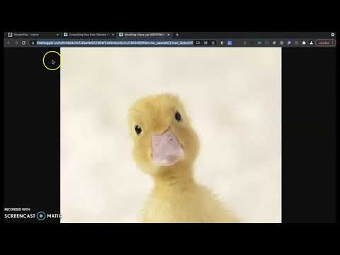 Blogs and Forums