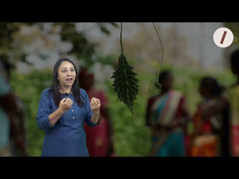 Gayathri Swahar | Indian Administrative Fellowship - 2021 | Testimonial