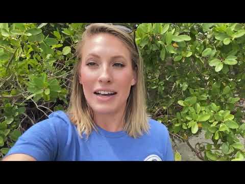 Keep Florida Growing: Seaventure Clam Co.