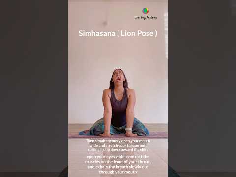 Simhasana ( Lion Pose ) #yogaurmi #yogawithurmipandya #urmiyogaacademy #yoga #2023 #yogaasana