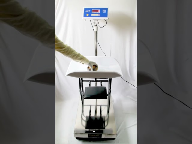 Weight Scale - 3 In 1 Weighing Scale Manufacturer from New Delhi