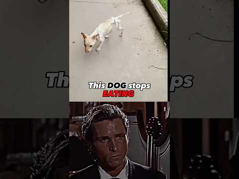Dog Sad Moments 🥹💔🤧 #shorts