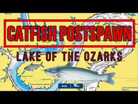 CATFISH POST SPAWN PATTERNS | Lake of the Ozarks