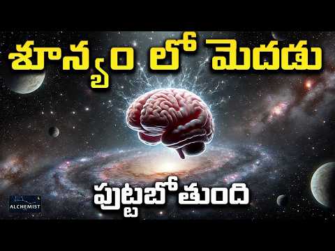 శూన్యం లో మెదడు పుట్టుక ఎక్కడ జరగబోతుంది ? Boltzmann brain explained in telugu