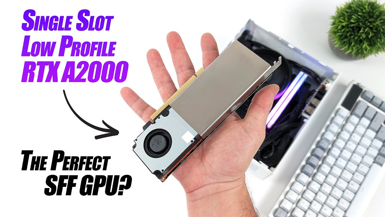 Exploring the Single Slot Low Profile RTX A2000: A Game Changer for ...