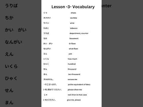 Top 20 Words You Should Know in Japanese | Minna No Nihongo Lesson 3 Vocabulary |