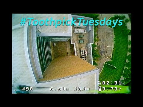 Beating Up My Toothpick | #ToothpickTuesdays