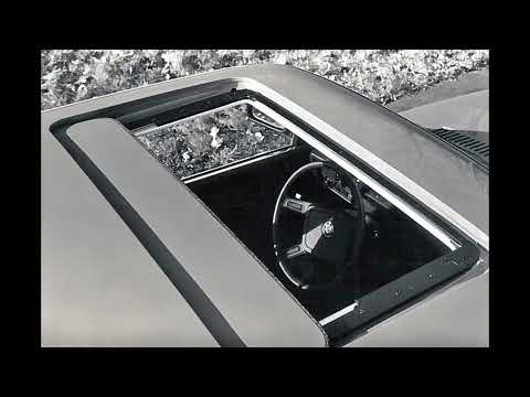 “1980 BMW 320i – A Classic German Icon Comes to Life 🚗🔥”