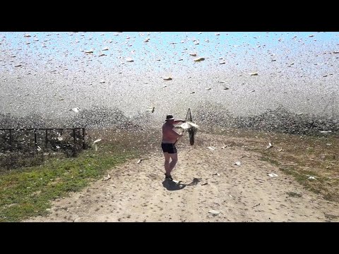 10 Unbelievable Natural Phenomena Caught on Camera
