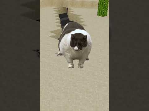 funny fat cat play minecraft #minecraft #cat #meme